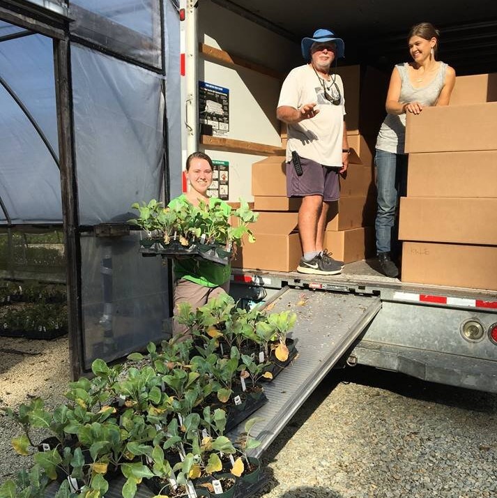 Our Partners at RAFI-USA - Johnson Service Corps